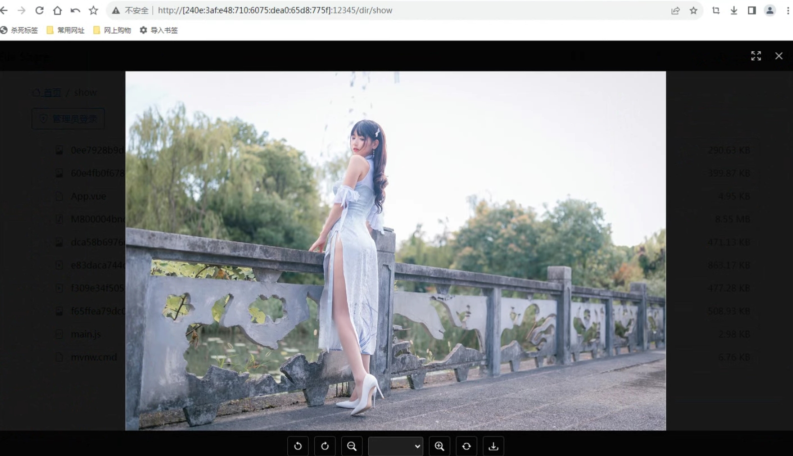 GitHub - 52op/file_share: 轻量级文件分享工具——file_share HTTP文件分享服务器