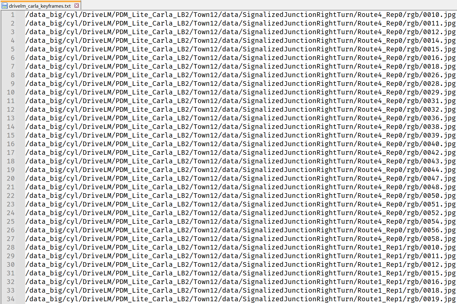 DriveLM-CARLA数据集构建