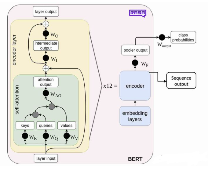 初探BERT&Pre-train&Self-supervise_bert pretrain-CSDN博客