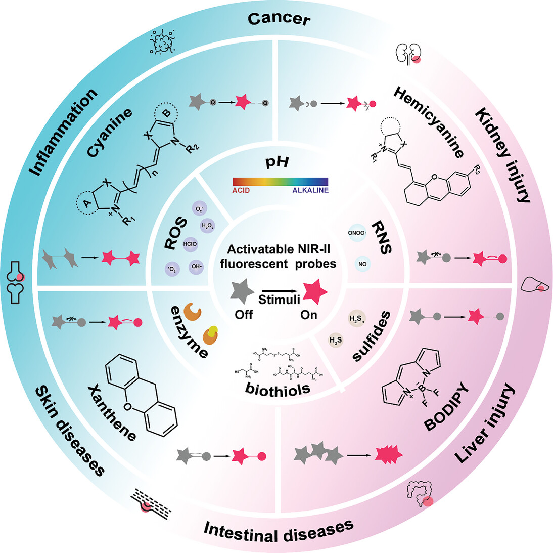荧光爱好者周刊（第十九期） | Fluolab