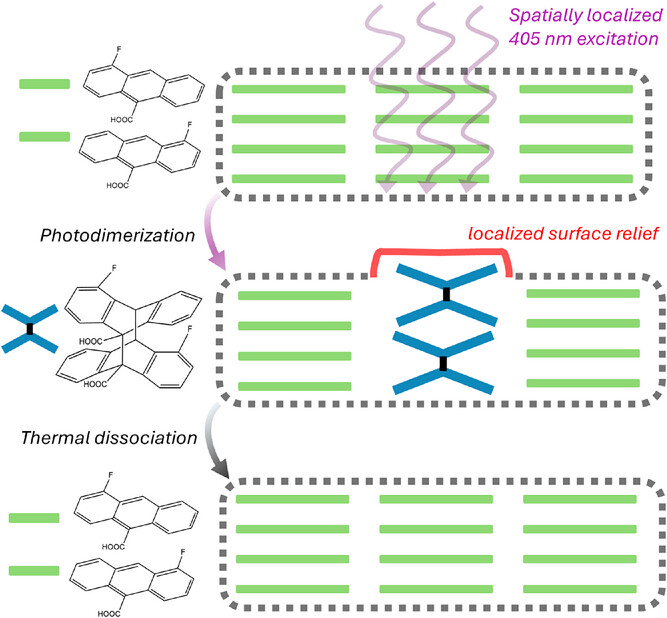 【Angew.Chem.】1秒“写入-擦除”！新型光控可重构光学晶体，让动态光束操控效率提升10倍！ | Fluolab