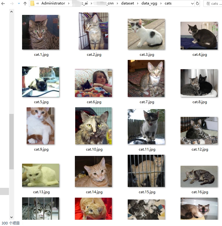 第8章 深度学习之卷积神经网络：CNN=卷积+池化+MLP，图像填充padding层，flatten展开层，经典的CNN模型（3个），两个实战 ...
