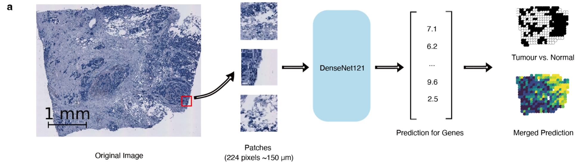 GitHub - JoshuaChou2018/PPML-Omics: PPML-Omics: a Privacy-Preserving federated Machine Learning ...
