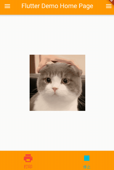 Flutter开发之——动画-Gif动画_flutter gif-CSDN博客