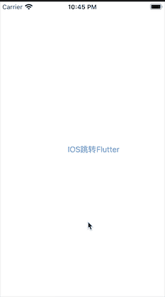 Flutter开发之——IOS启动Flutter_sending a message before the flutterengine has ...
