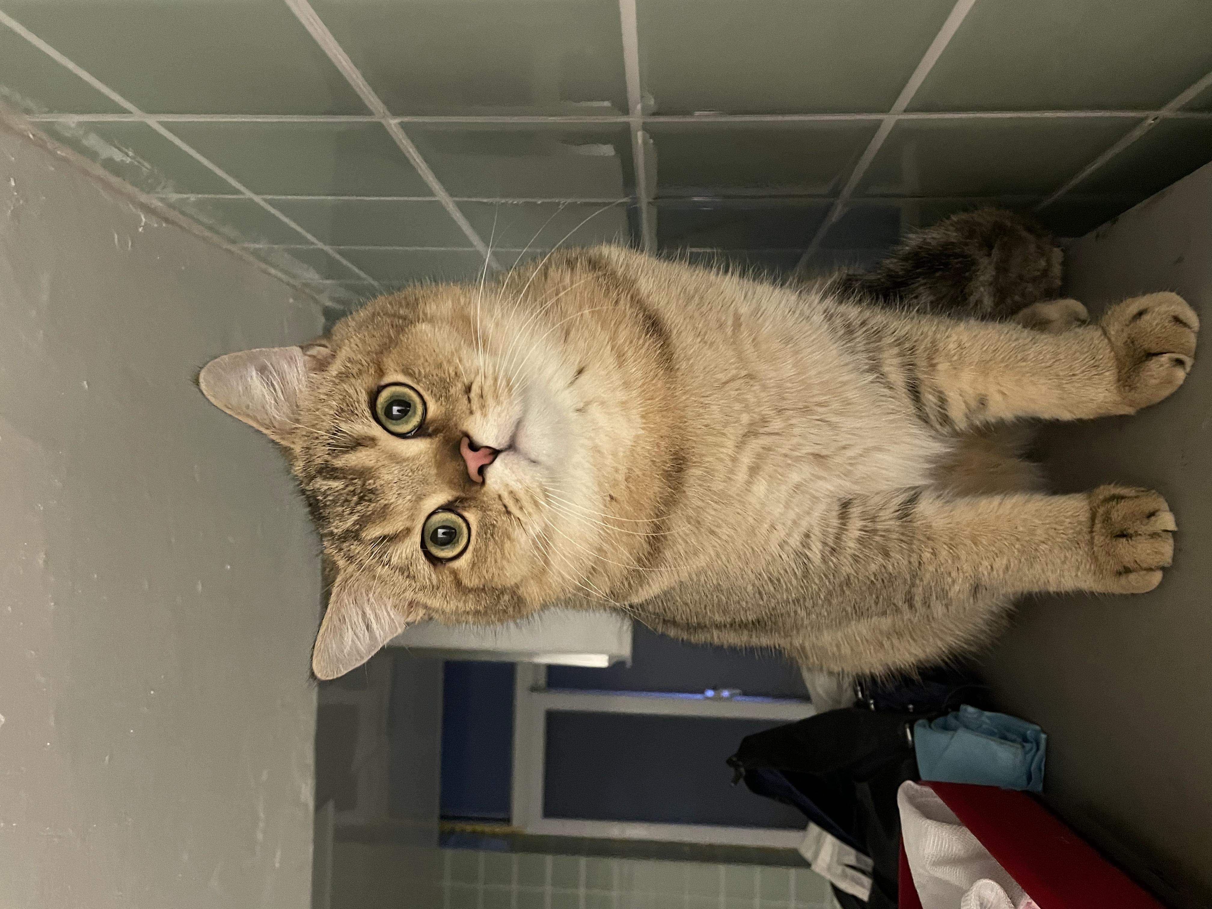 标签: JUC | Supremes