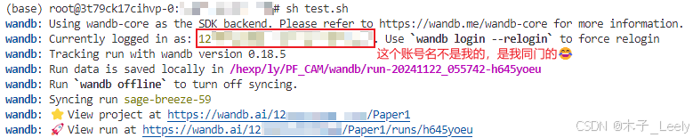使用Wandb，终端输出运行成功，但是为什么进入到W&B网页刷新一直看不到变化? - 木子一的博客 | JoyLee Blog