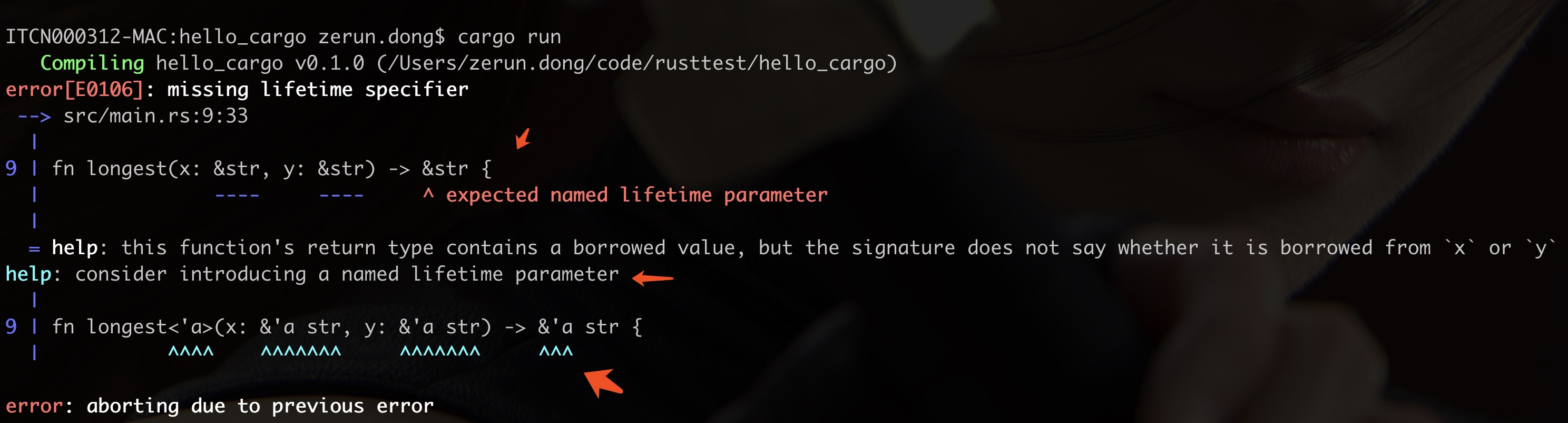 Rust Lifetime SoByte