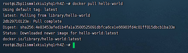 Docker 初体验 | 极客侠GeeksMan