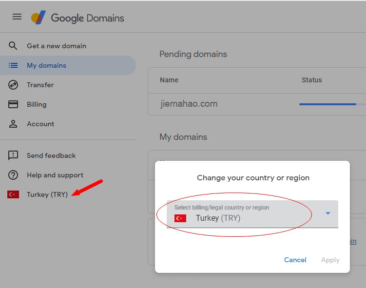 谷歌域名土耳其区注册和转入域名30元/年，含com,net等-接码号