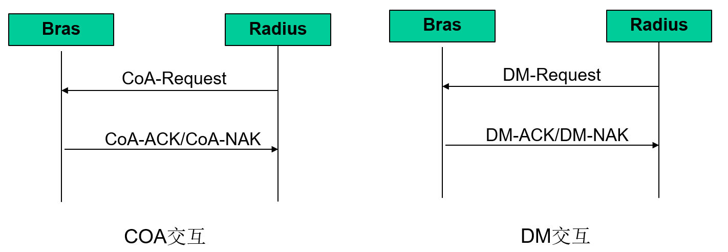 Radius和Portal | 华紫樱绯