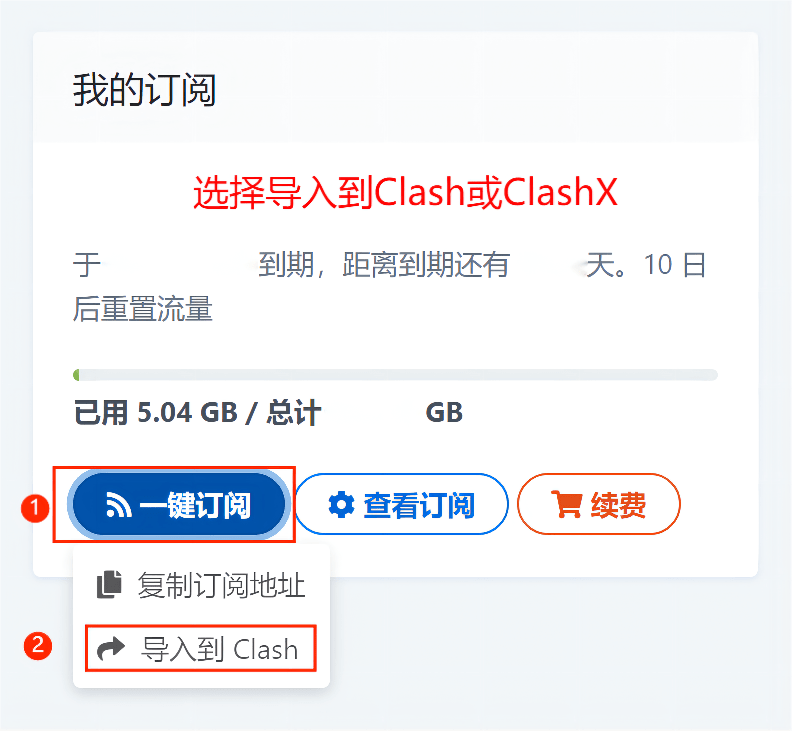 Clash Stray Cloud 
