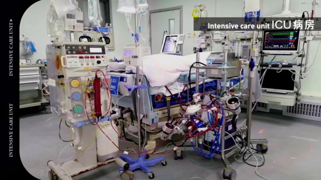 Vol.122 ICU 病房里究竟发生了什么 - PaperClip Fans