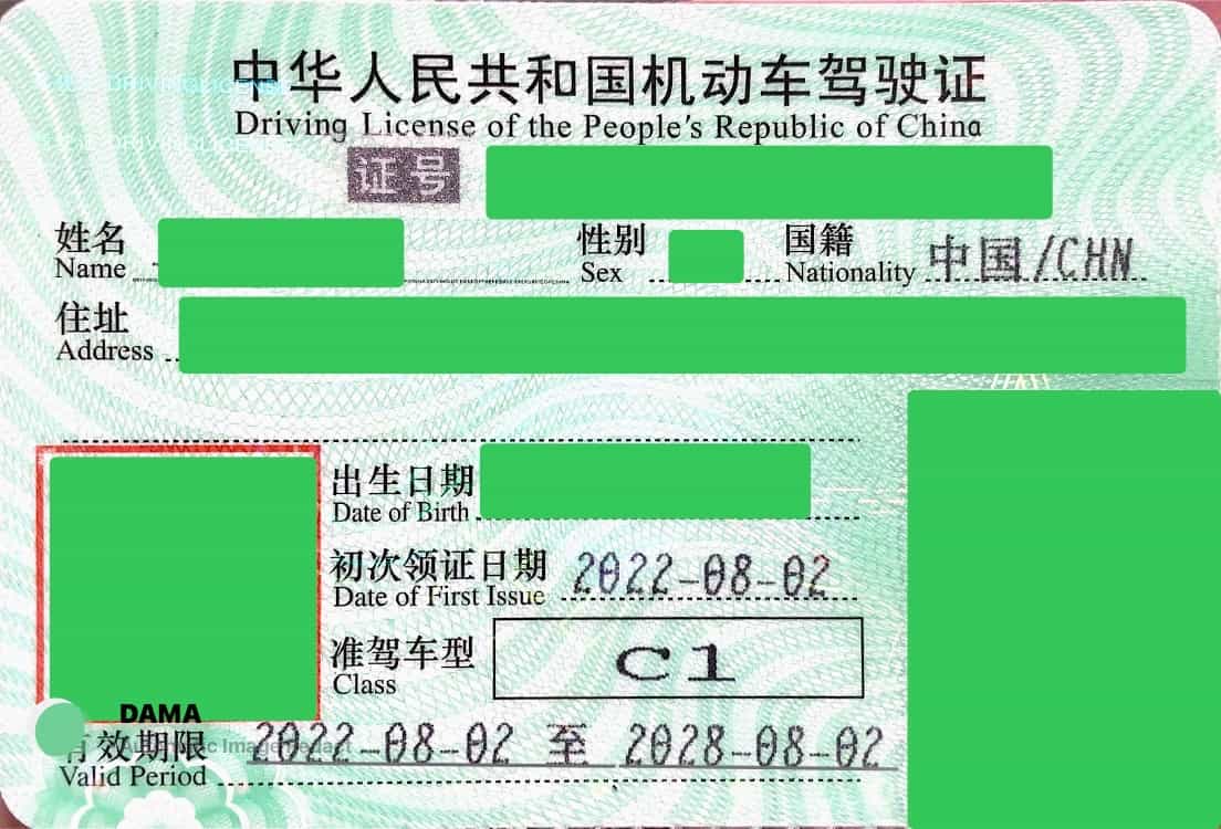 I Got My Drivers License🚘 | kayak4665664