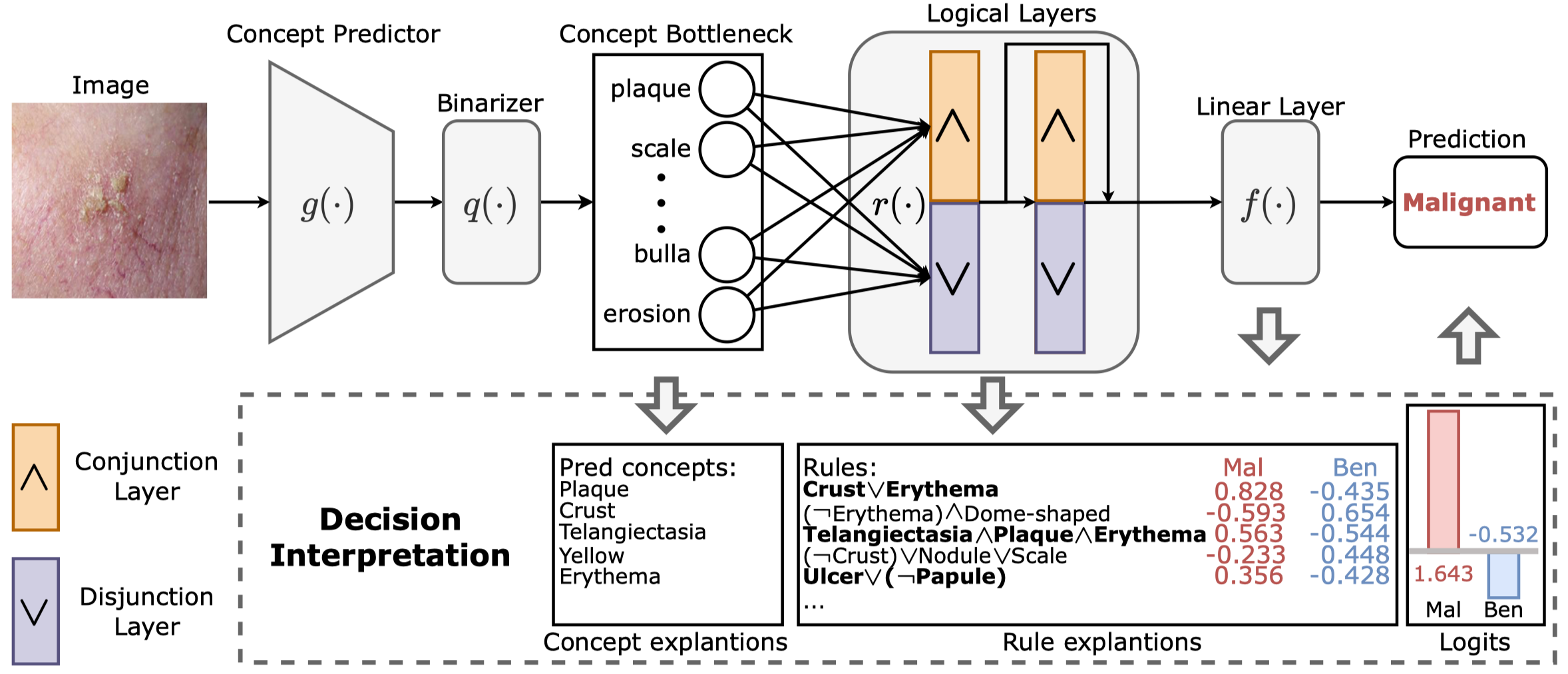 GitHub - obiyoag/crl: [MICCAI 2025 Young Scientist Award] Official ...