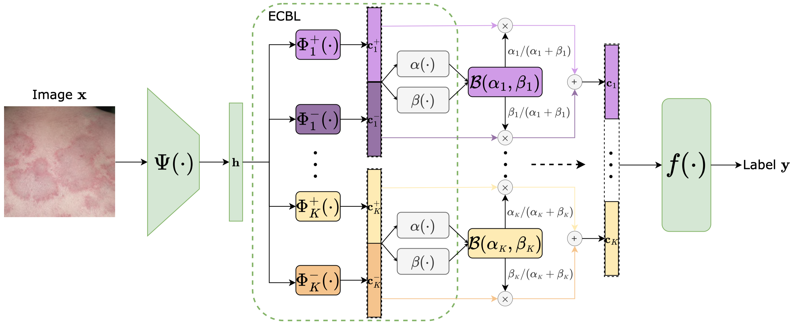 GitHub - obiyoag/evi-CEM: Official implementation of MICCAI2024 paper "Evidential Concept ...
