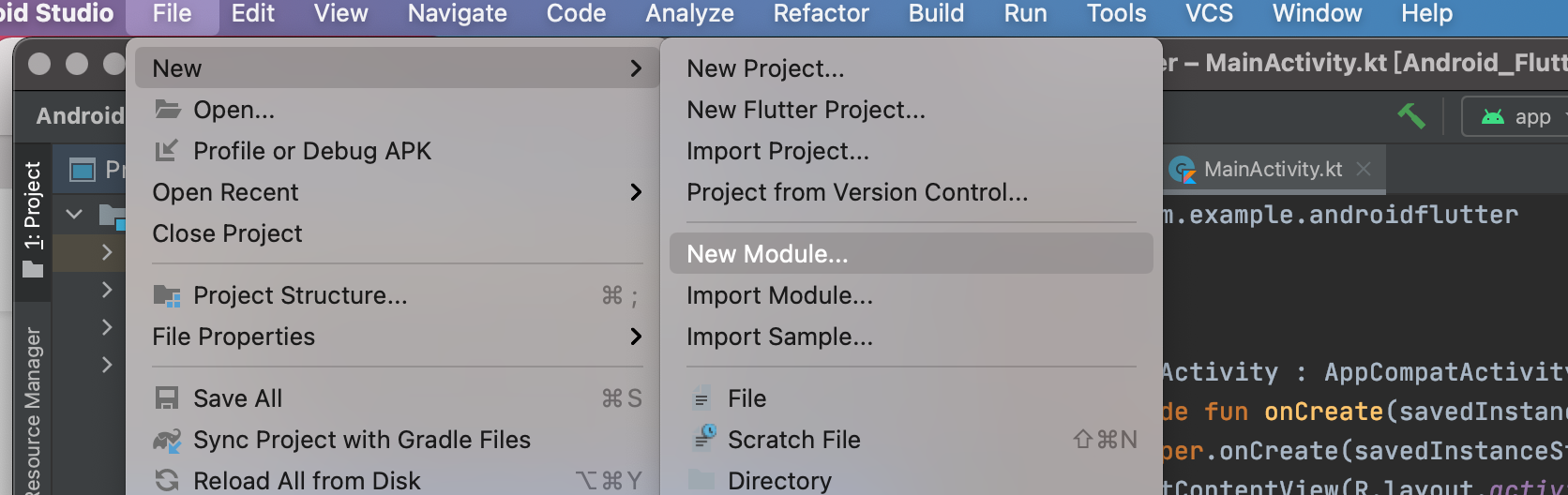 Flutter开发之——android原生项目导入flutterandroid原生项目导入flutterlib Csdn博客