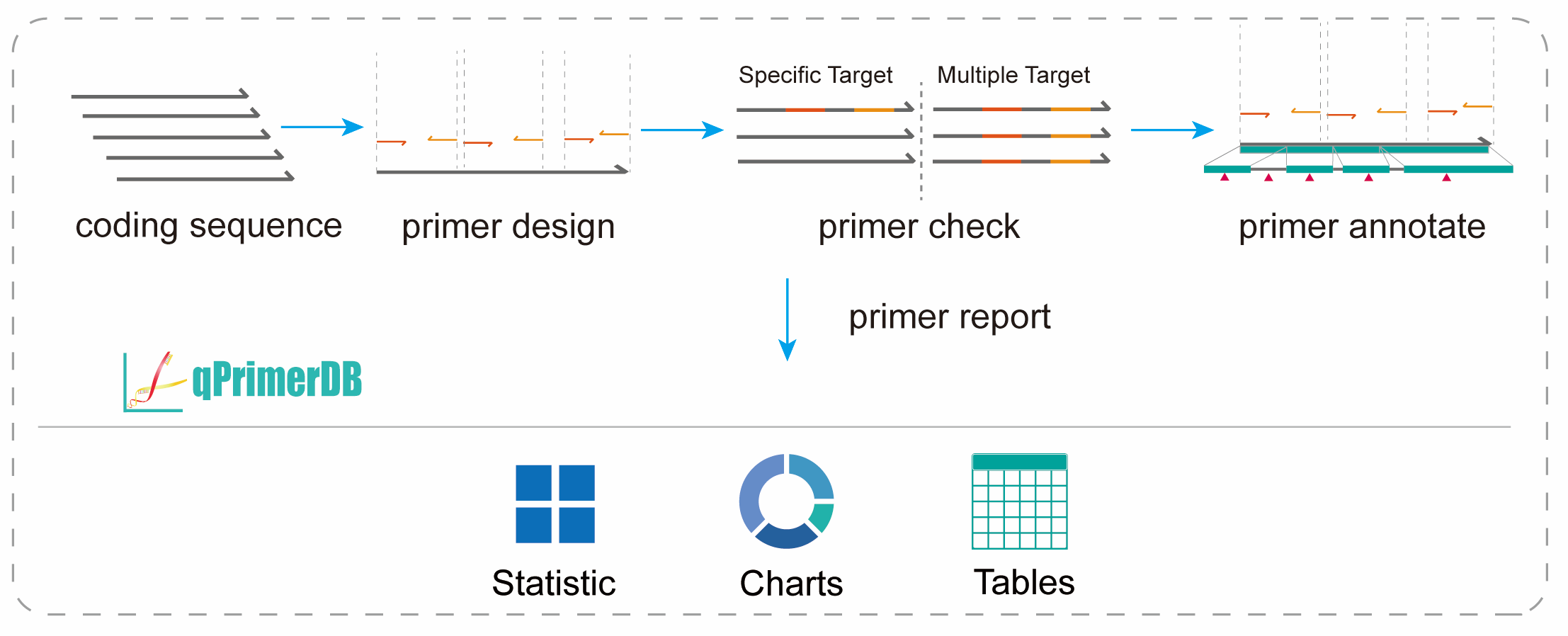 GitHub - swu1019lab/qPrimer: A python package for qPCR primers design, check, annotate and ...