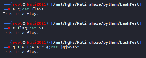 CTF中的命令执行及Bypass | 无名大仙