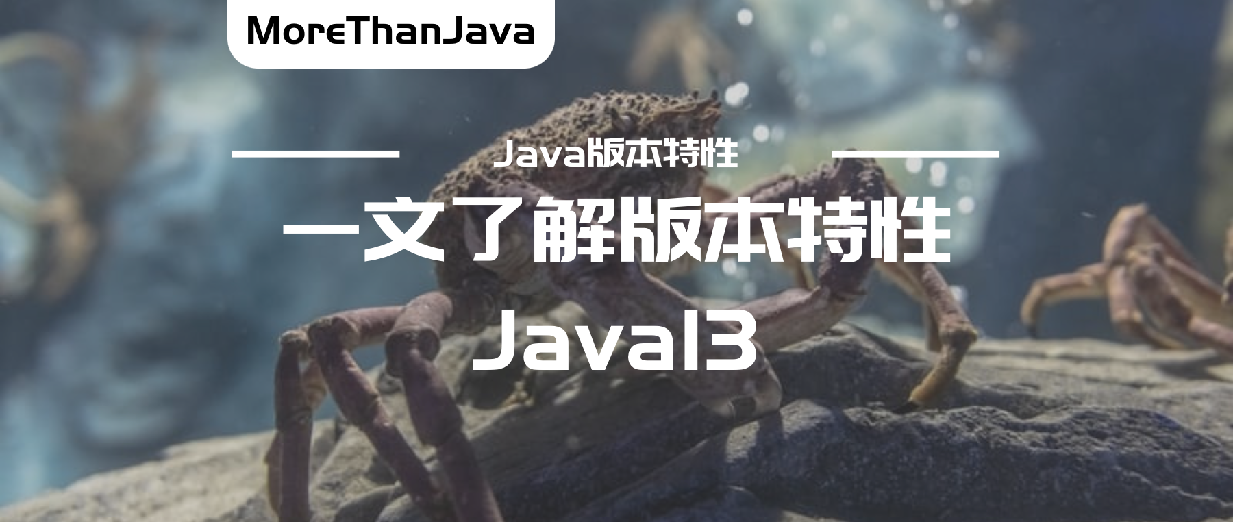Java13版本特性【一文了解】 - 我没有三颗心脏 - 博客园