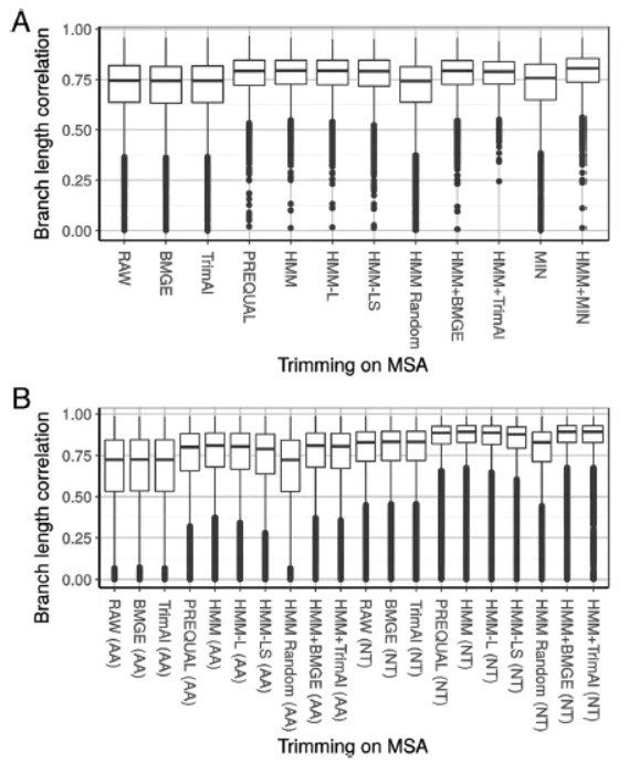 直系同源基因多序列比对 | Comparative Genomics and Adaptive Evolution