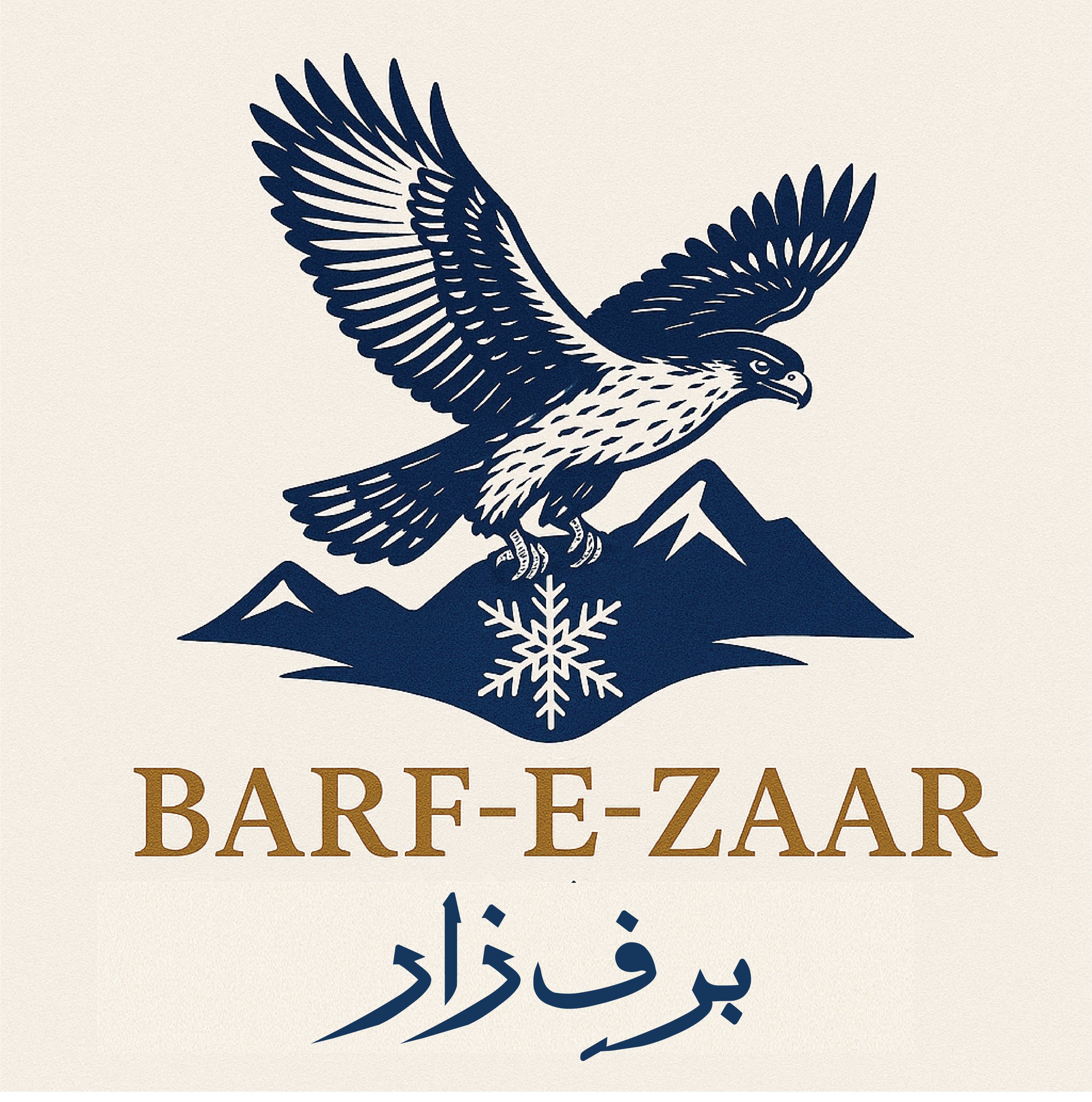 BARFEZAAR | Fashion Clothing Store Online - Ethnic Wear, Traditional ...