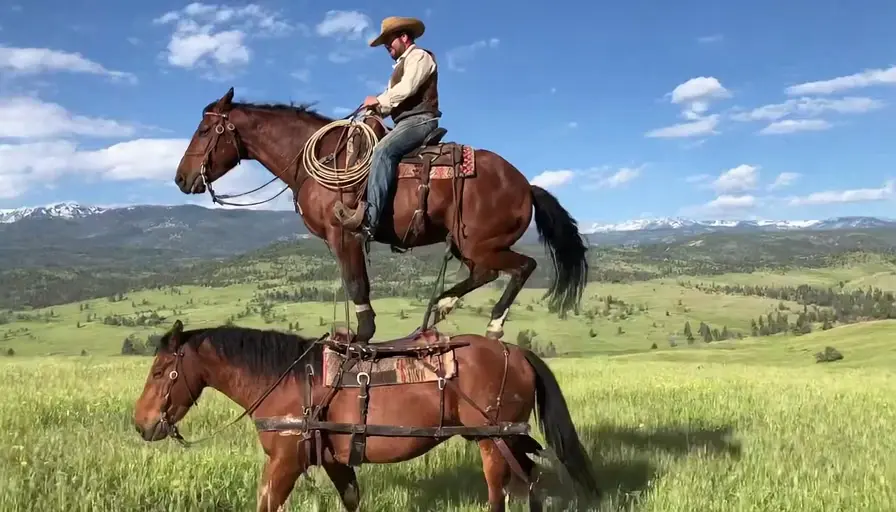 Sora 2 - AI Video Generation | Create Stunning Videos from Text Prompts