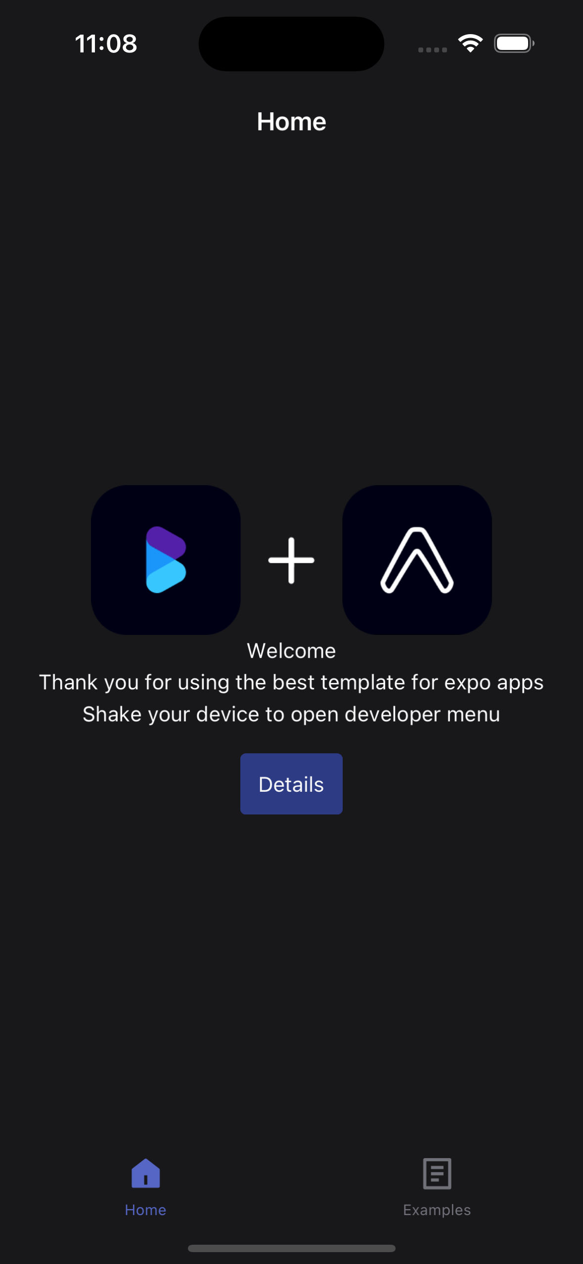 @binarapps/expo-ts-template CDN by jsDelivr - A free, fast, and reliable Open Source CDN
