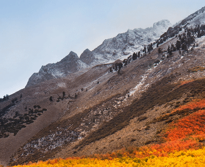 electron-splashscreen-for-angular CDN by jsDelivr - A free, fast, and ...