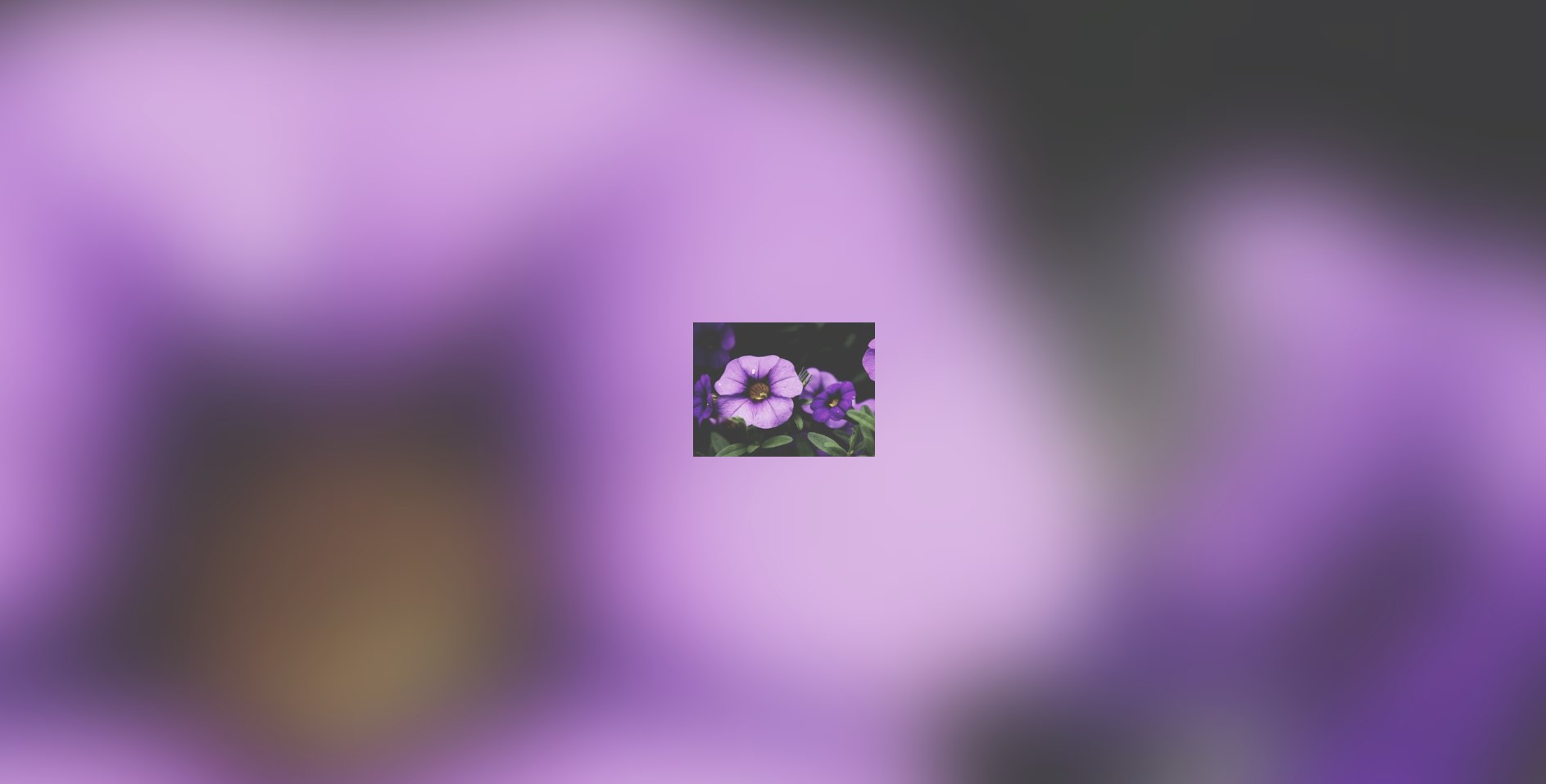 html-imageblur CDN by jsDelivr - A free, fast, and reliable Open Source CDN