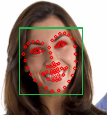 nxdetectx CDN by jsDelivr - A free, fast, and reliable Open Source CDN