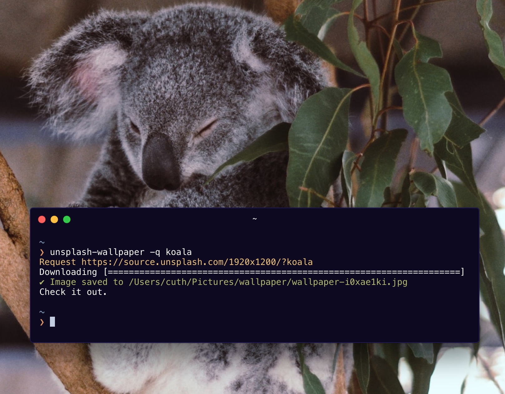 unsplash-wallpaper CDN by jsDelivr - A free, fast, and reliable Open ...