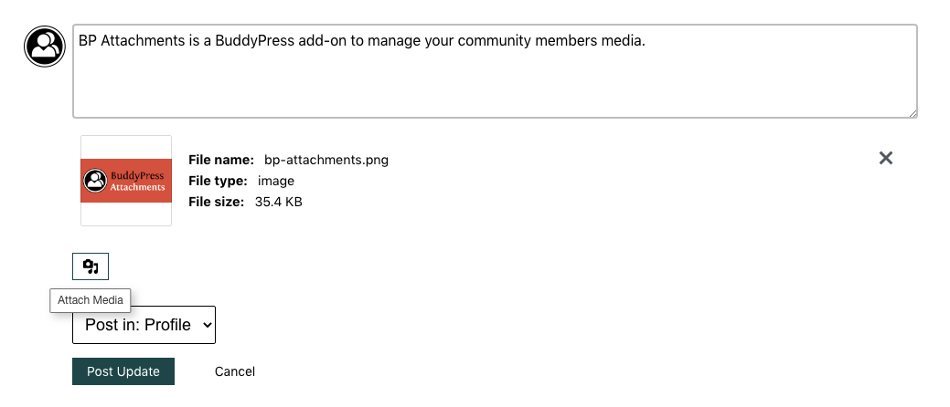- Revision 3227108: /bp-attachments/assets